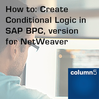 How to: Create Conditional Logic in SAP BPC, version for NetWeaver